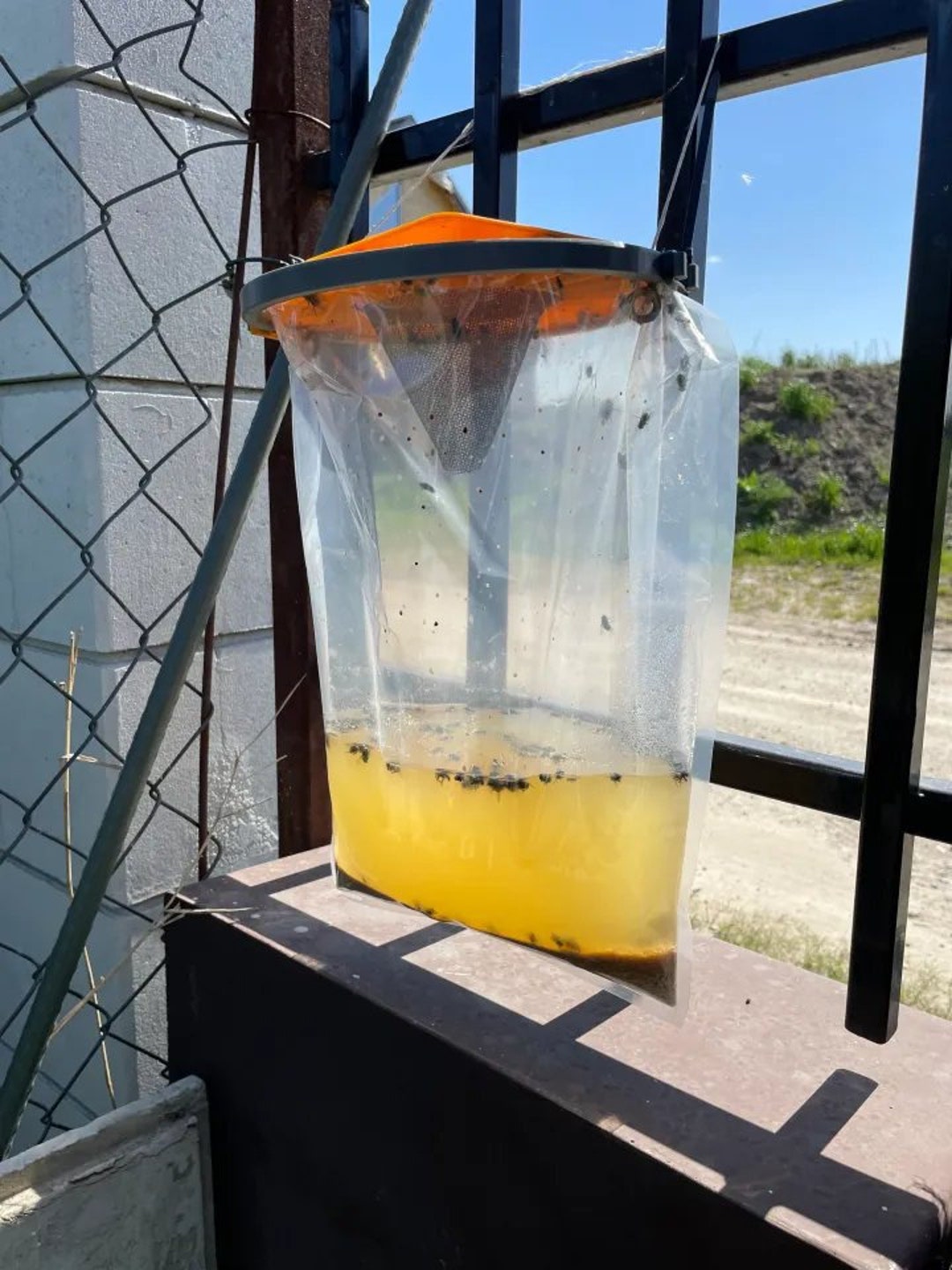 Family Safe Fly Trap, Effective and Sustainable Insect Catcher ...