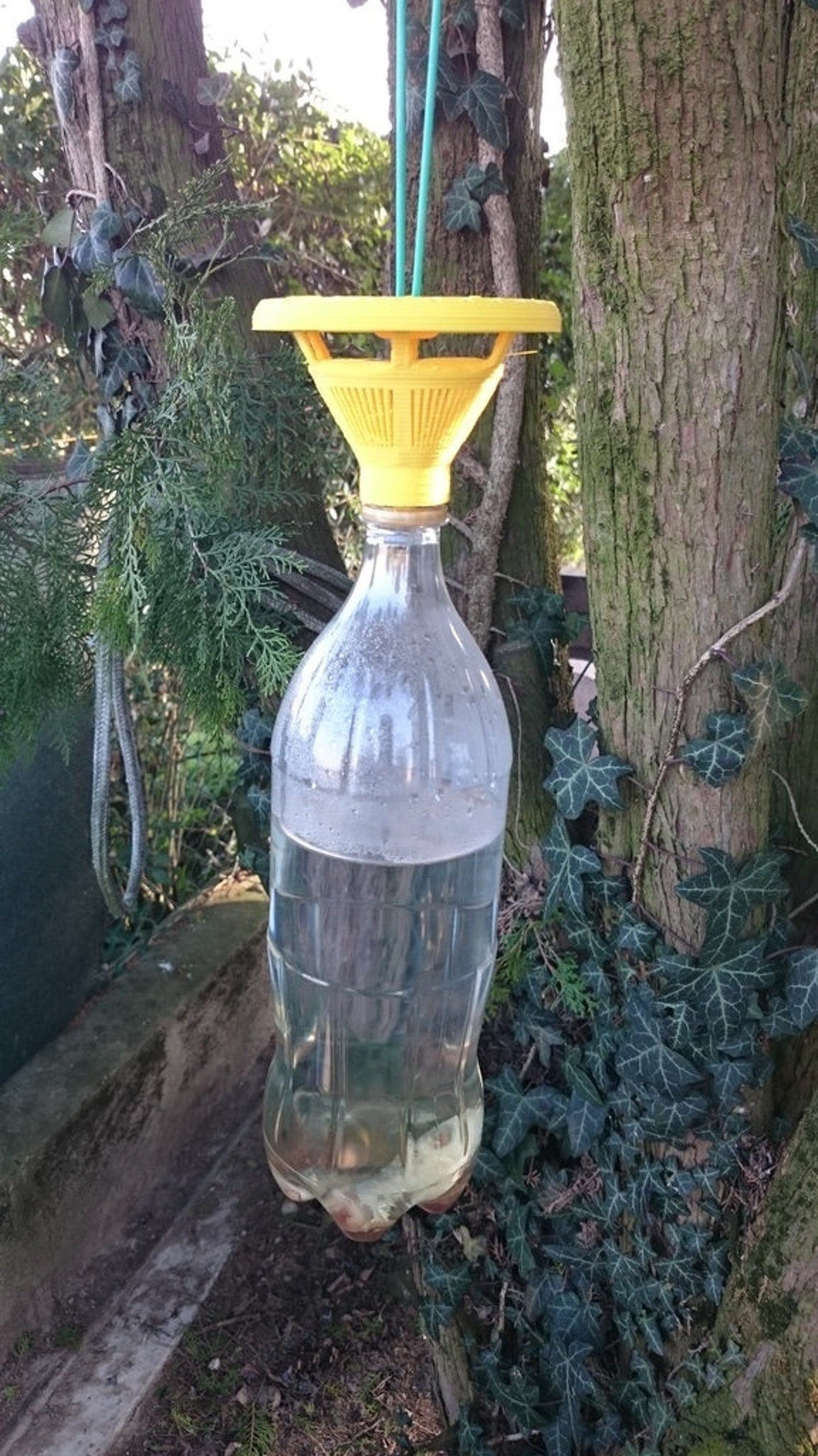 DIY Soda Bottle Fly and Wasp Trap | Effective and Eco-friendly Insect ...
