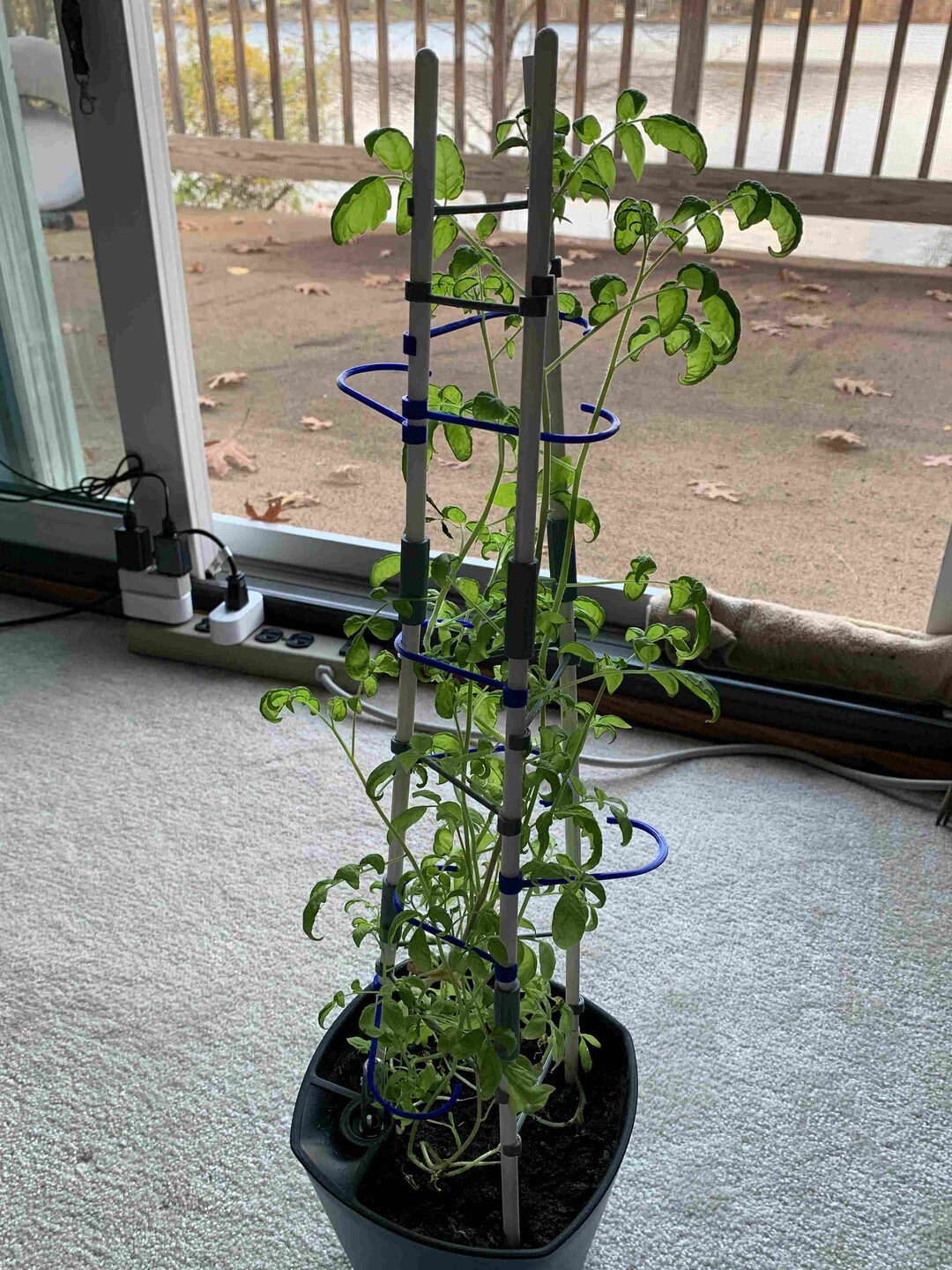 Plant Stake - Tomato Stake | 3D Printed Plant Propagation (PR-09) - Etsy