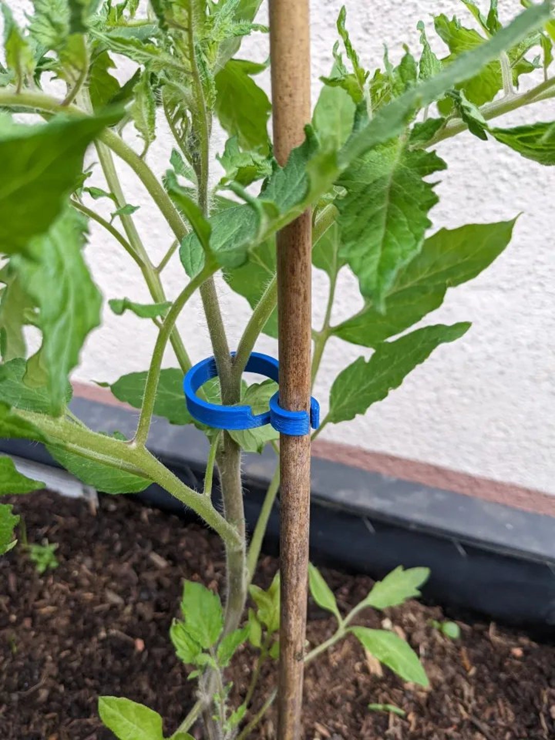 Adaptable Plant Clip (tomato Clip) | 3D Printed Plant Propagation (PR ...