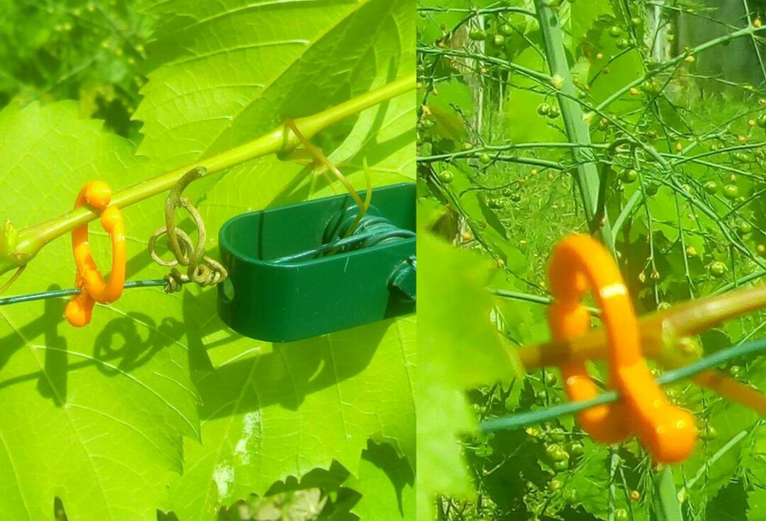 Tomato Clip on Wire or Trellis for Plants | 3D Printed Plant ...