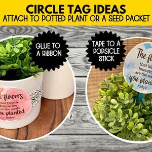 Teacher Appreciation Plant Tag Printable, Teacher Thank You Flowers Tag ...