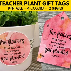 Teacher Appreciation Plant Tag Printable, Teacher Thank You Flowers Tag ...