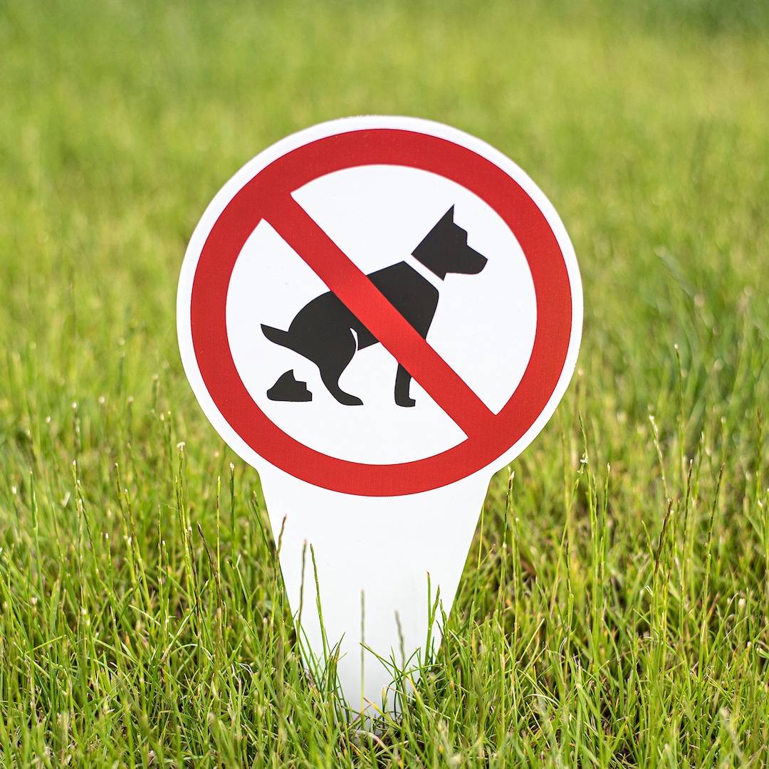 Aluminum Sign No Dogs No Dog Poop Sign Clean up After Your - Etsy