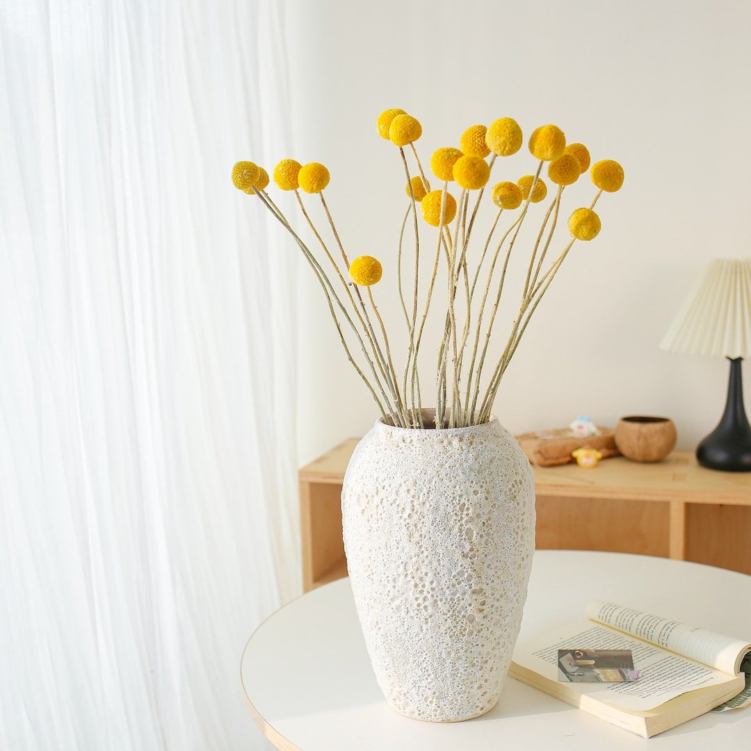20 Stems Dried Craspedia Globosa Benth Natural Yellow Bunch Billy ...