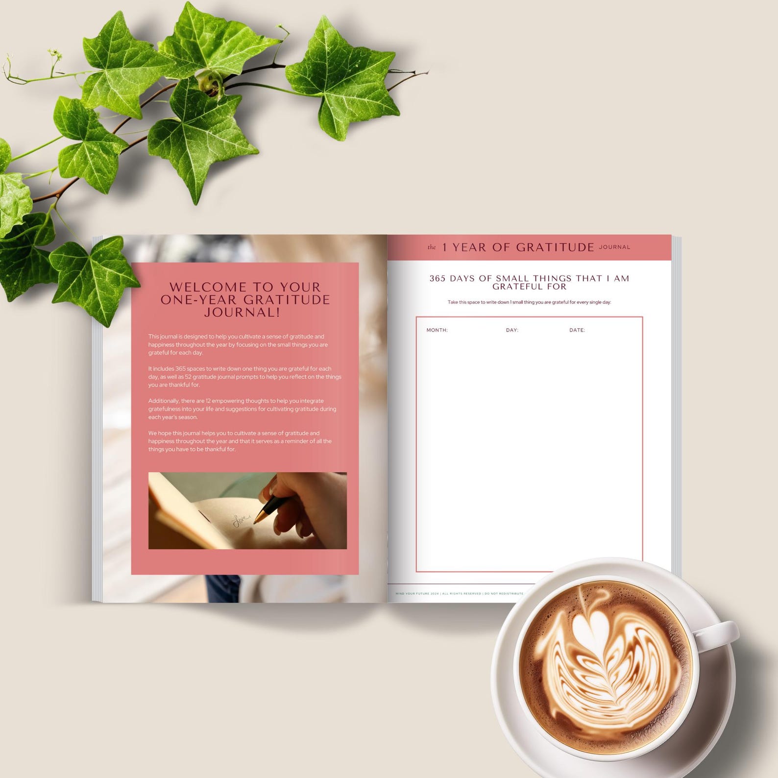 365 Days of Gratitude: A Year-long Journal to Rewire Your Brain for ...