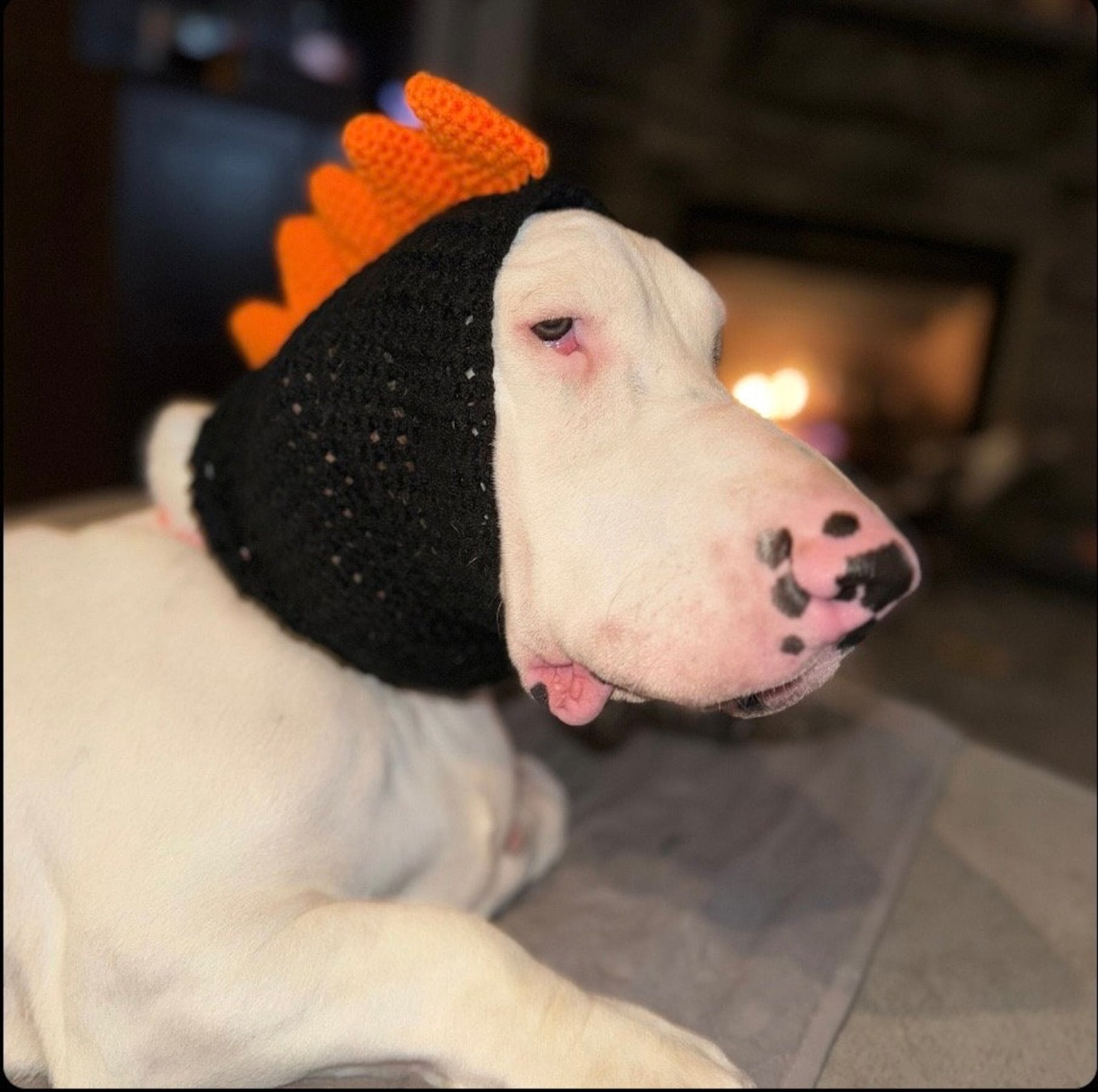 Dinosaur Dog Snood - Etsy