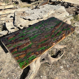 Tree Bark Live Moss Clear Epoxy Table, Moss Resin Dining Table, Live ...