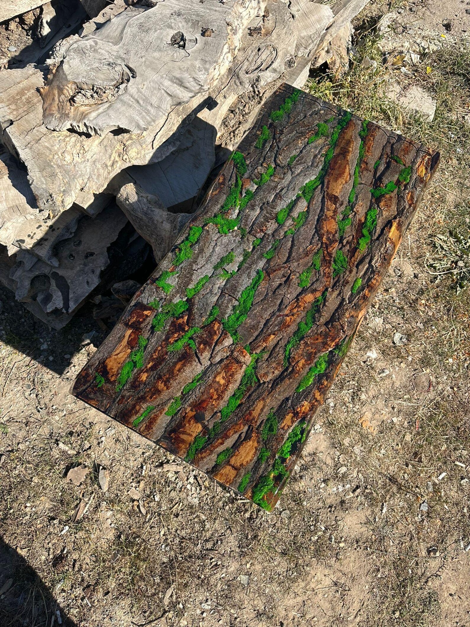 Tree Bark Live Moss Clear Epoxy Table, Moss Resin Dining Table, Live ...