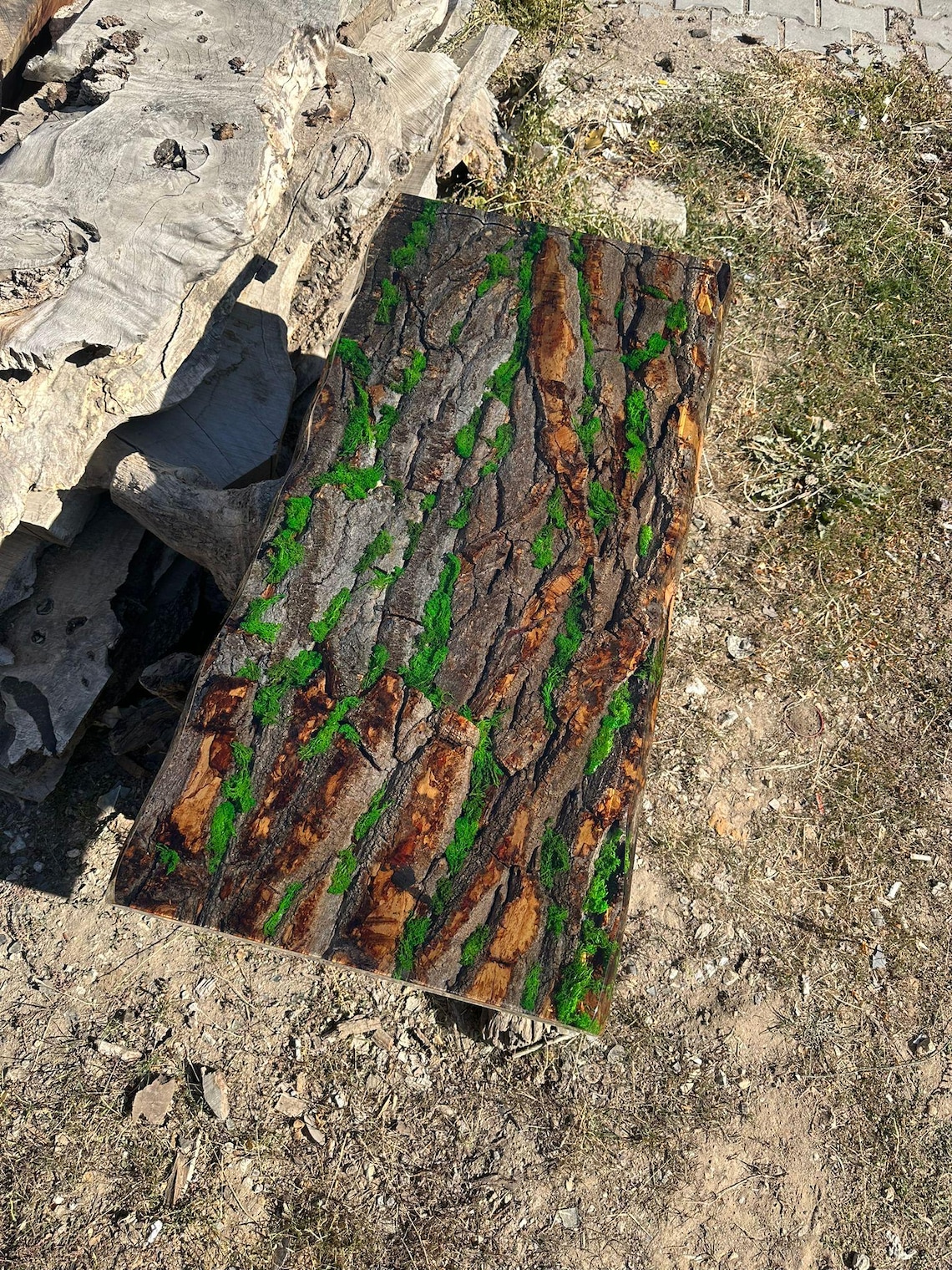 Tree Bark Live Moss Clear Epoxy Table, Moss Resin Dining Table, Live ...