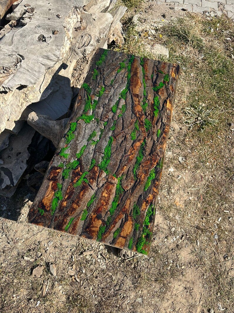 Tree Bark Live Moss Clear Epoxy Table, Moss Resin Dining Table, Live ...