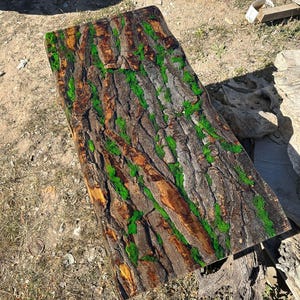 Tree Bark Live Moss Clear Epoxy Table, Moss Resin Dining Table, Live ...