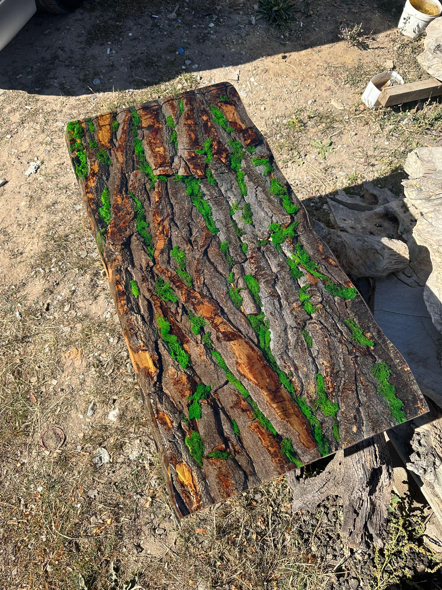 Tree Bark Live Moss Clear Epoxy Table, Moss Resin Dining Table, Live ...