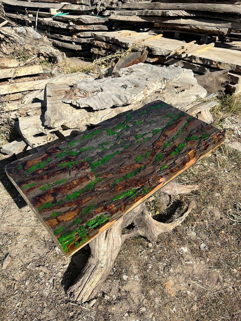 Tree Bark Live Moss Clear Epoxy Table, Moss Resin Dining Table, Live ...