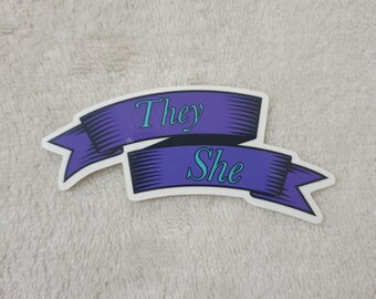 She They Pronouns Sticker Pronouns Stickers She They Sticker - Etsy