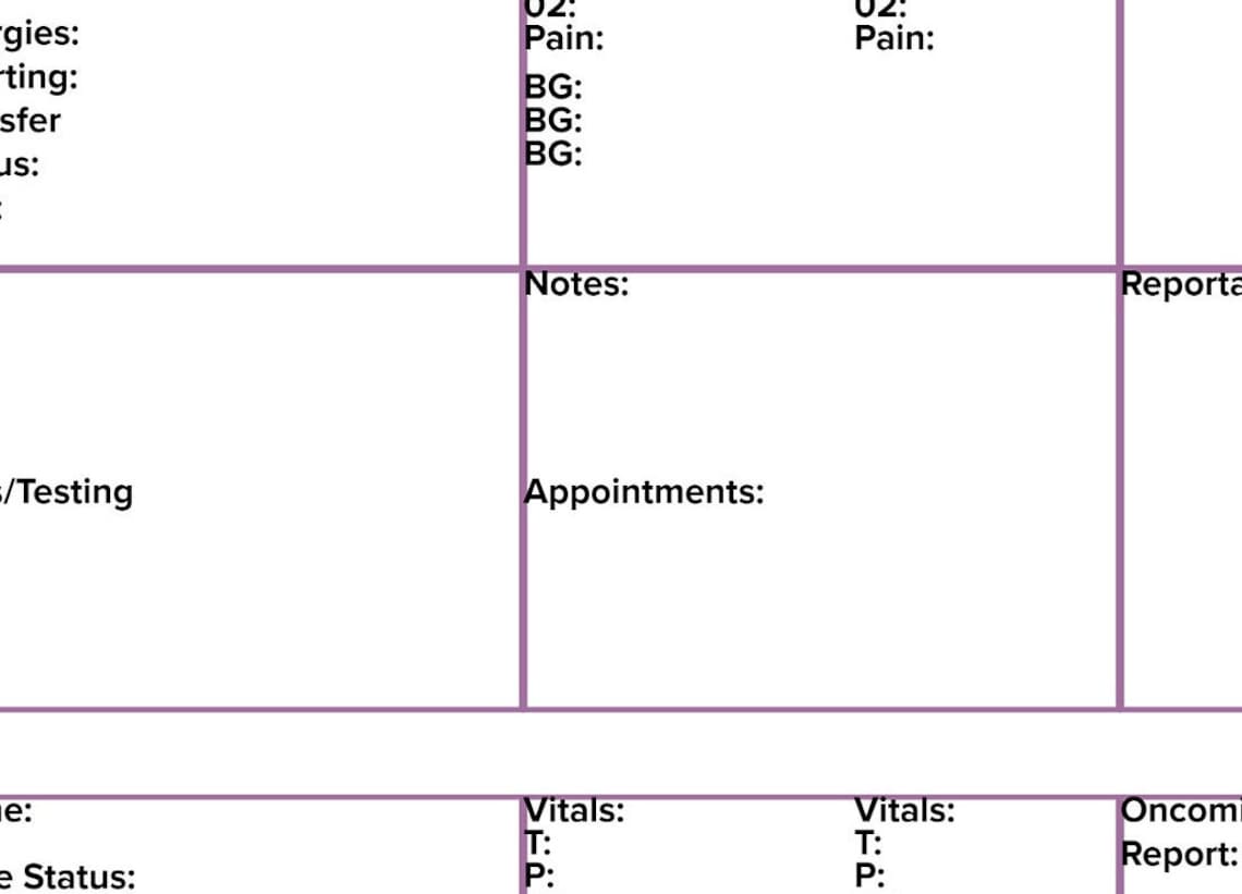 Long Term Care SNF Nurse Report Sheet Brain Sheet LPN RN - Etsy