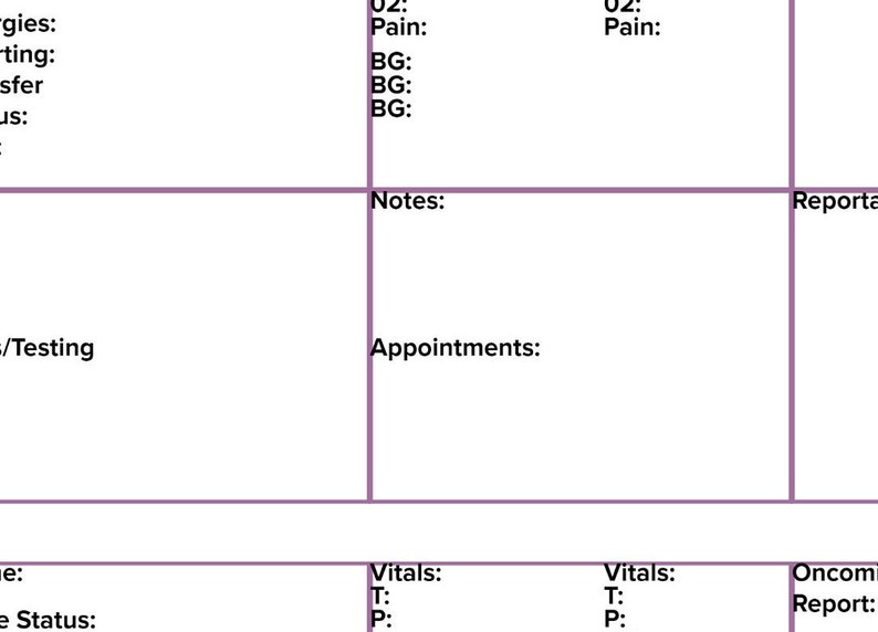 Long Term Care SNF Nurse Report Sheet Brain Sheet LPN RN - Etsy