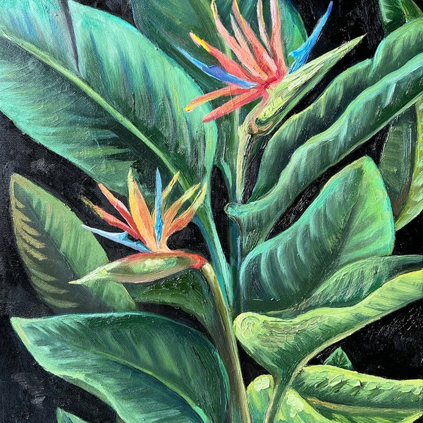 Strelitzia Art - Etsy