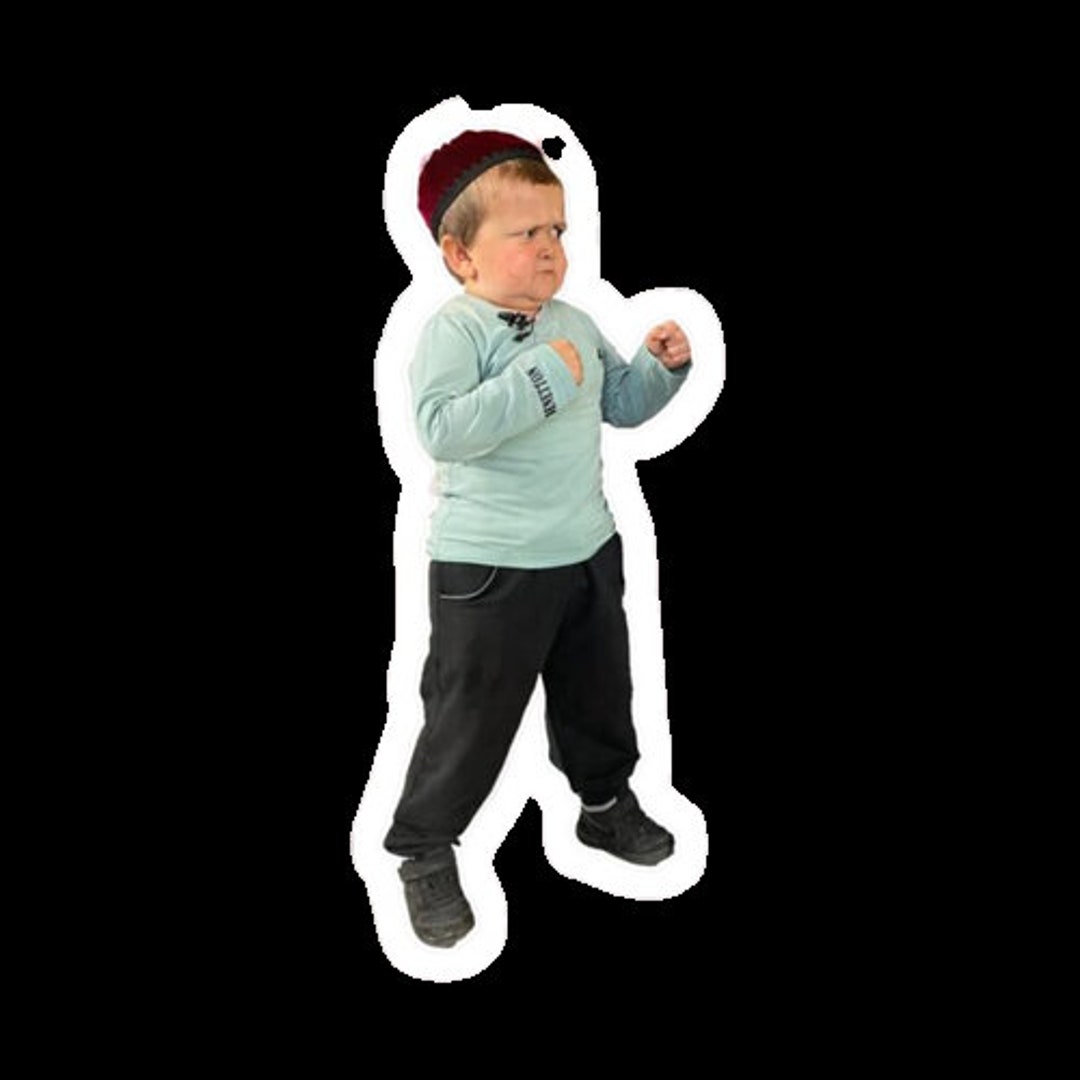 Fighting Hasbulla Magnet Funny Gifts Bff Magnets Magnets - Etsy