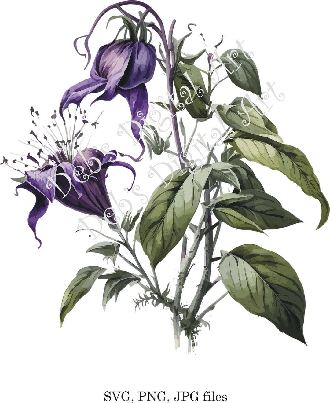 Watercolor Bat Flower Orchid Clipart: Purple Botanical Art (digital ...