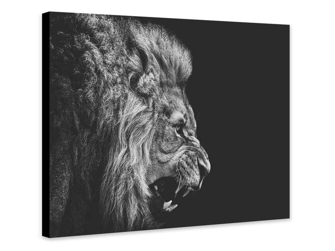 Lion Roar - Wrapped Framed Canvas - Rolled Canvas - Photo/poster Print ...