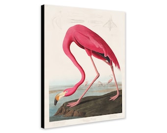 Pink Flamingo Vintage Bird Poster Bird Art Bird Wall Art - Etsy