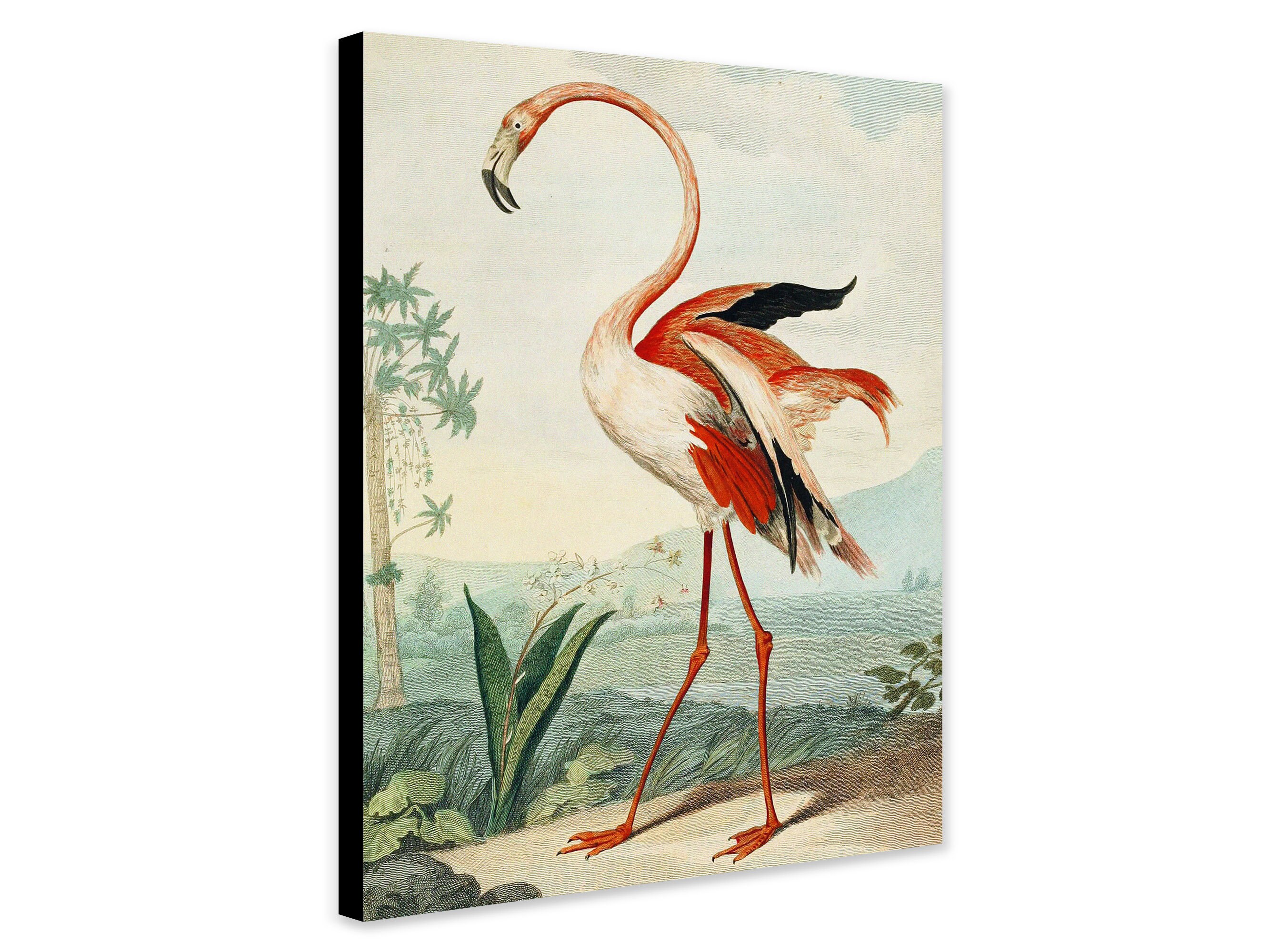 Flamingo Vintage Picture - Etsy