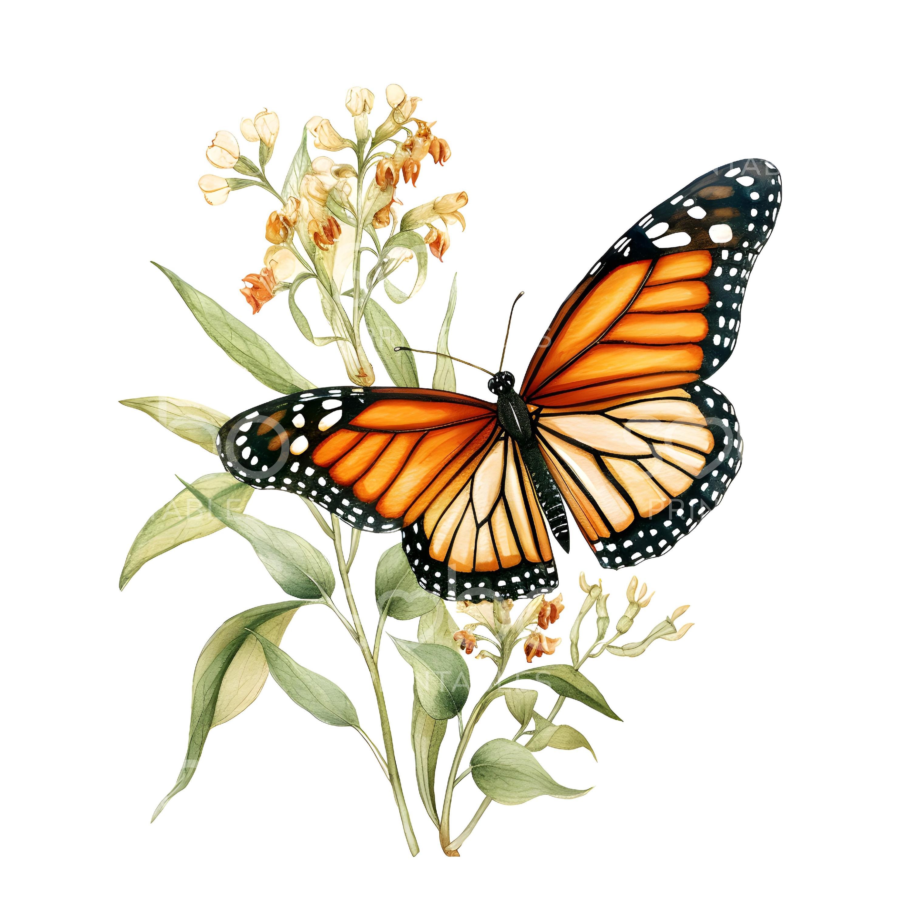 22 Monarch Butterfly Clipart, Floral Butterfly, Printable Watercolor ...