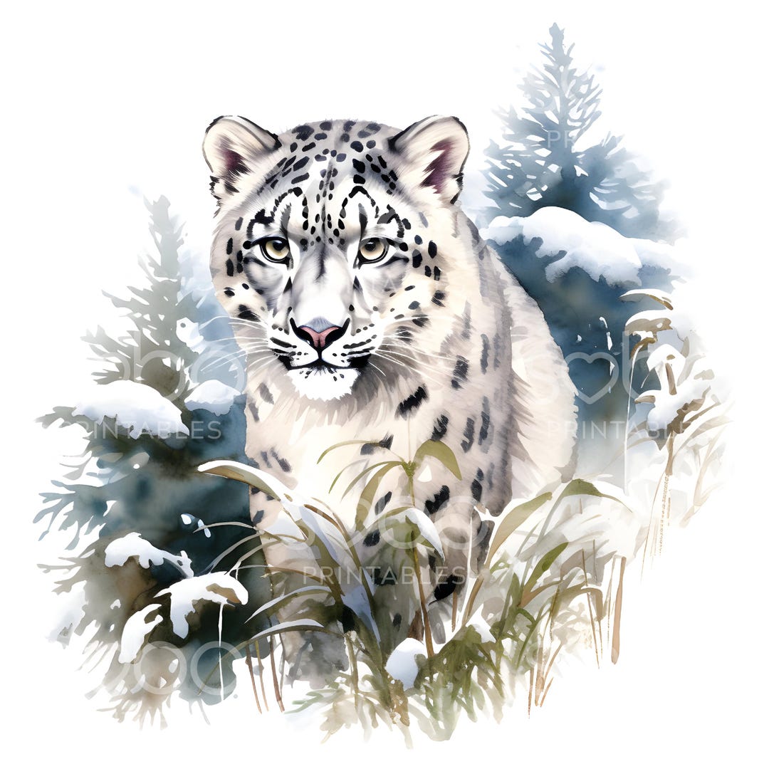 18 Snow Leopard Clipart, Winter Forest Leopard, Leopards Woodland ...