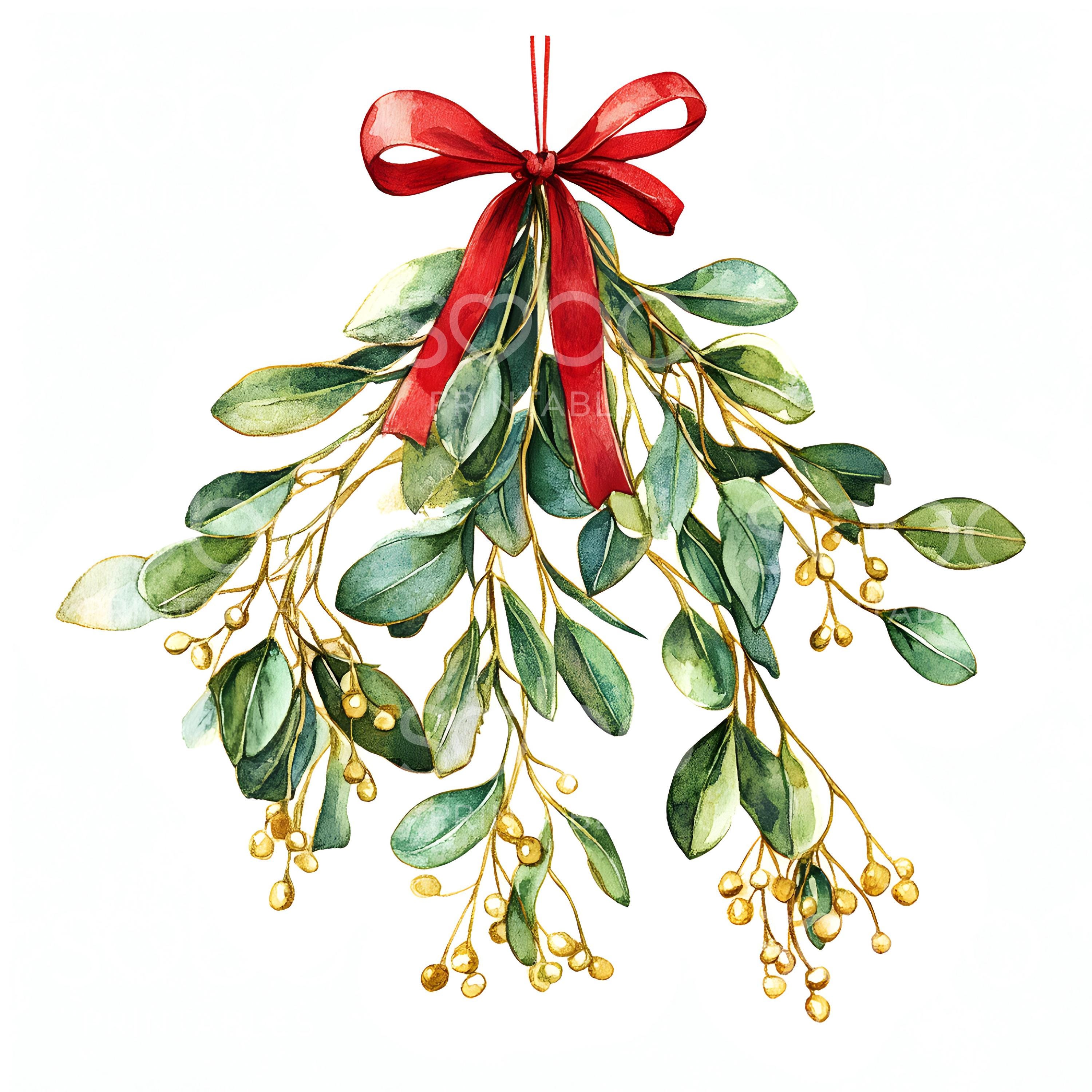 16 Mistletoe Clipart, Christmas Clipart, Festive Holiday, Printable ...