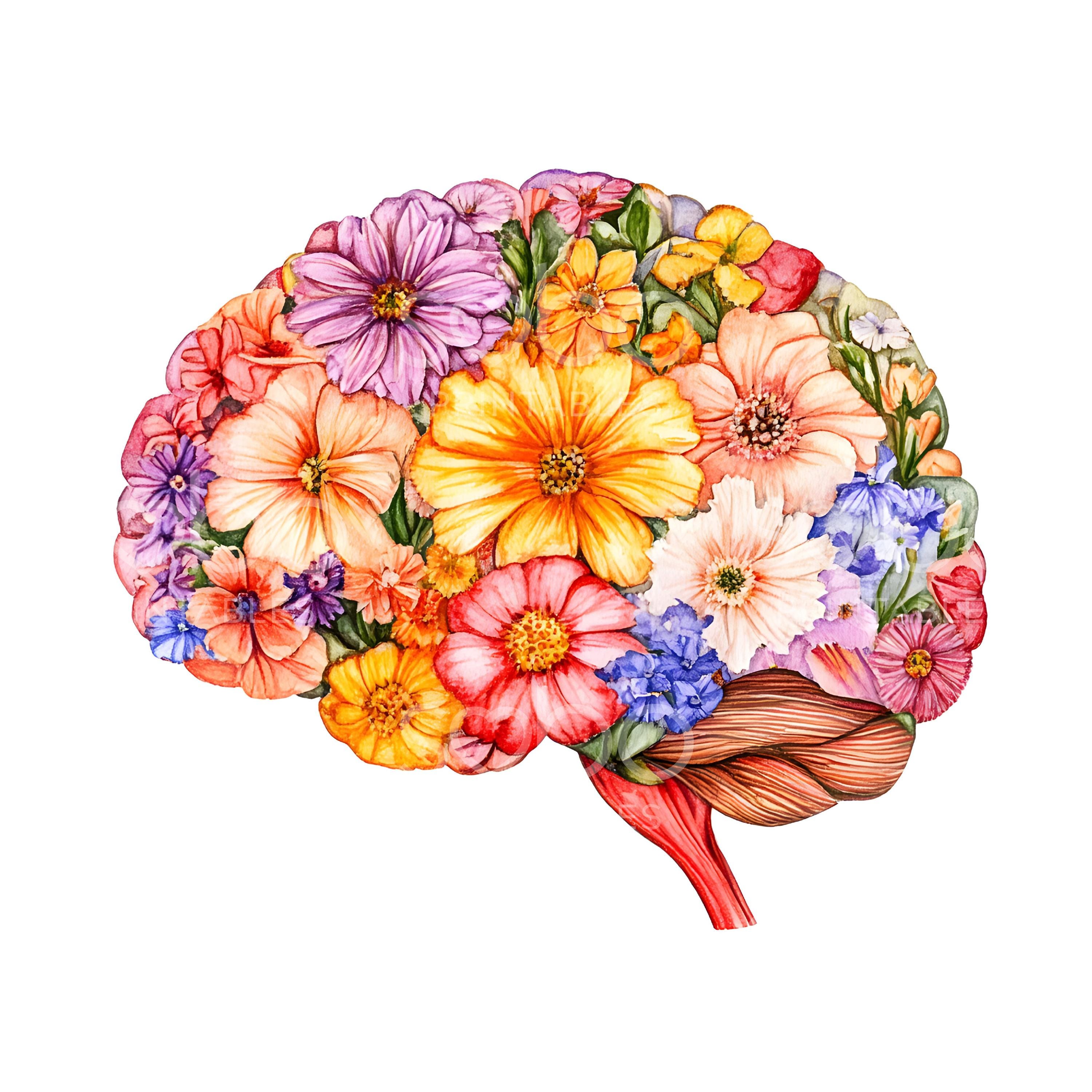 15 Floral Human Brain Clipart, Floral Anatomical Brain, High Quality ...