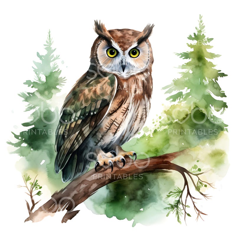 Wise Owl Clip Art - Etsy