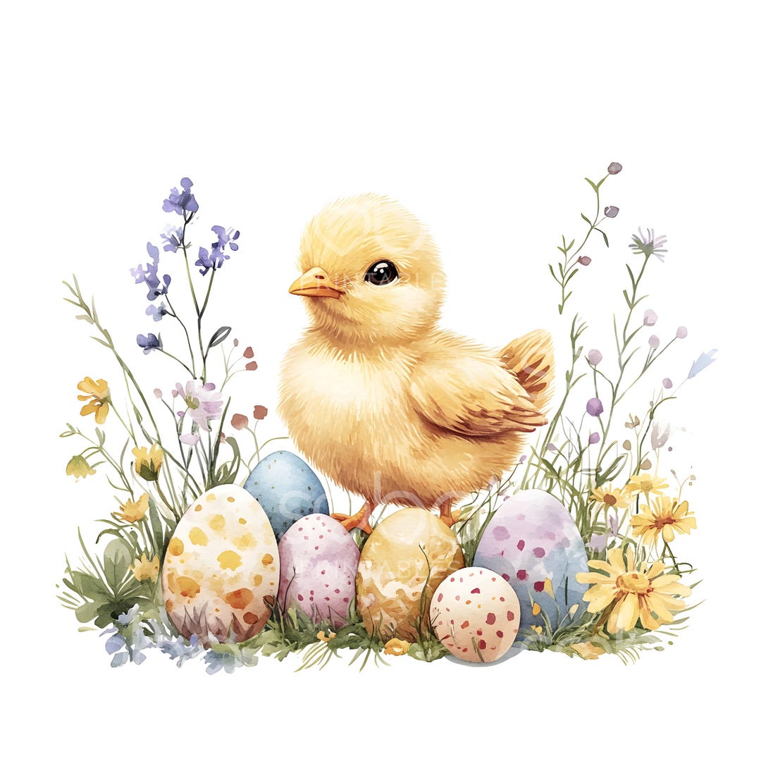 27 Watercolor Baby Chicks Eggs Clipart, Yellow Easter Chicks, Easter ...