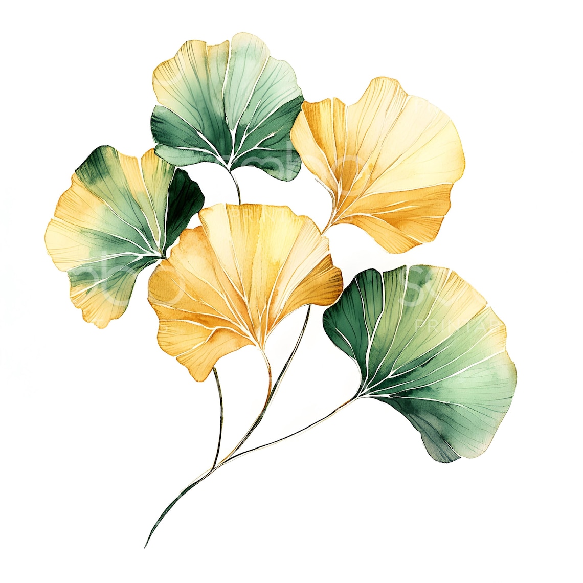 24 Gingko Leaf Clipart, Japanese Leaf, Gingko Leaf, Watercolor Clipart ...