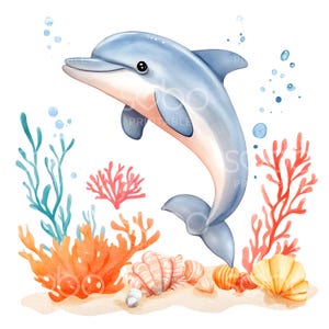 18 Coral Reef Dolphin Clipart, Tropical Dolphin, Ocean Life Printable ...