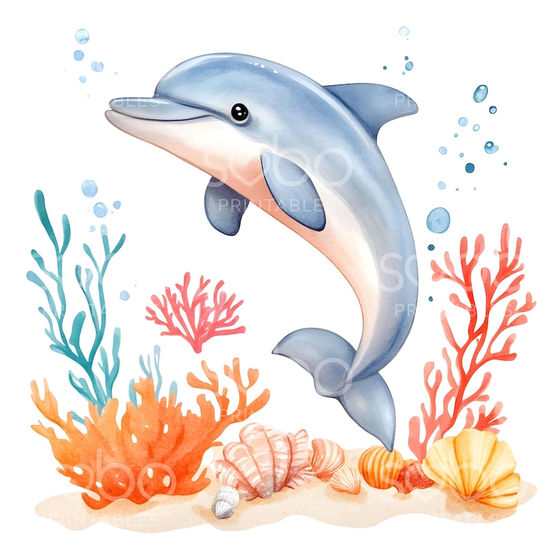 18 Coral Reef Dolphin Clipart, Tropical Dolphin, Ocean Life Printable ...