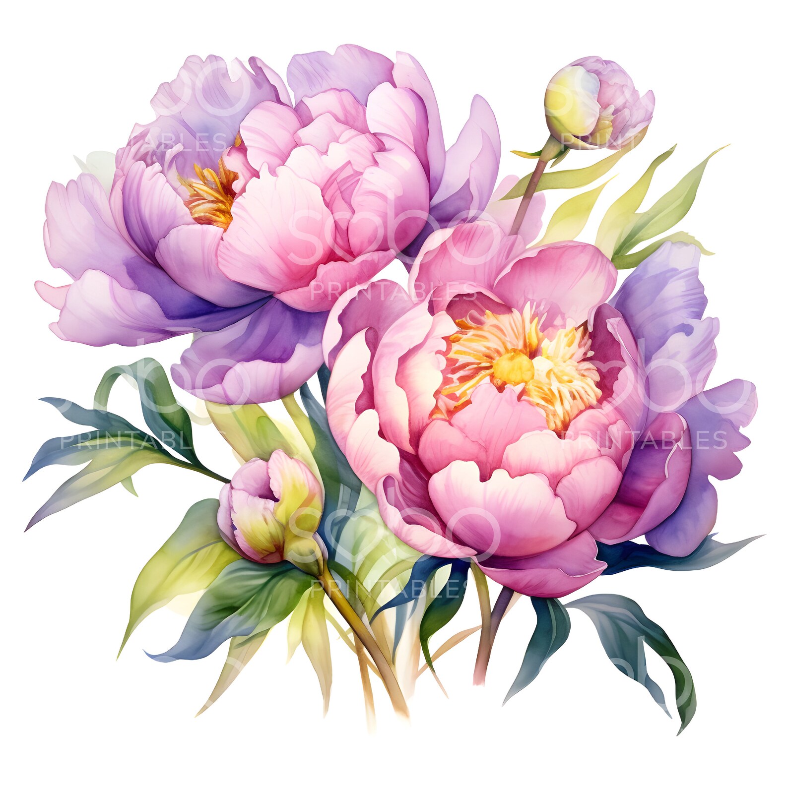 20 Peonies Bouquet Clipart, Peonies Print, High Quality Jpgs, Printable ...