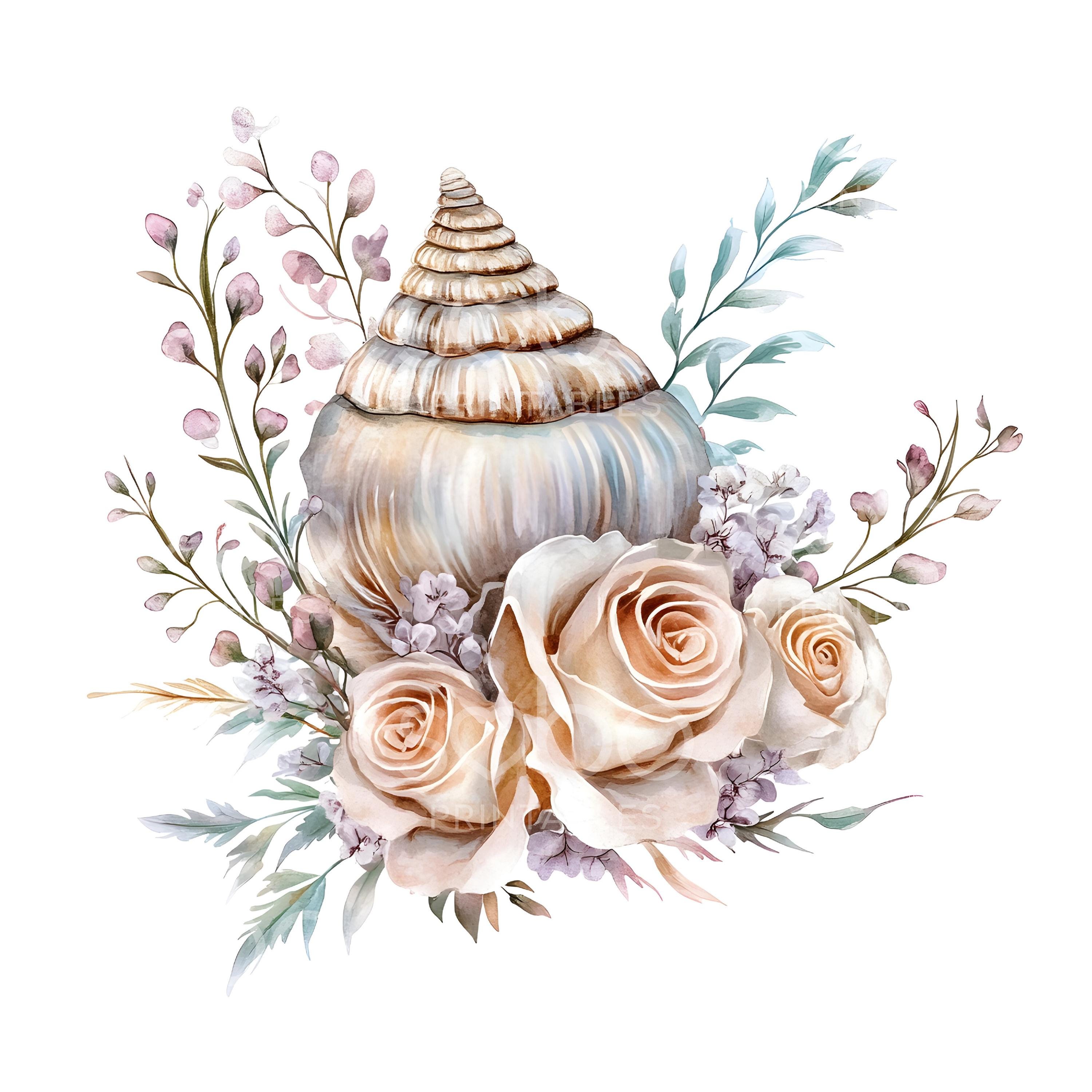 18 Floral Rose Sea Shell Clipart, Seashell Art, Printable Watercolor ...
