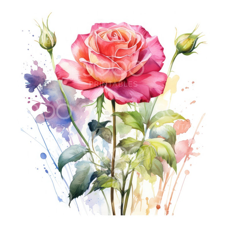 Colourful Roses Clipart 11 High Quality Jpgs, Digital Download, Junk ...