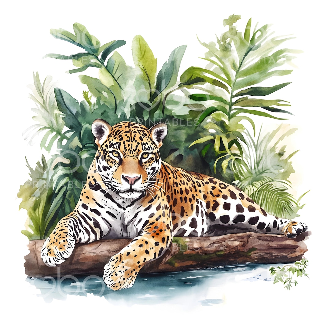 22 Tropical Jaguar Clipart, Jaguar in Palms, Wildlife Clipart ...