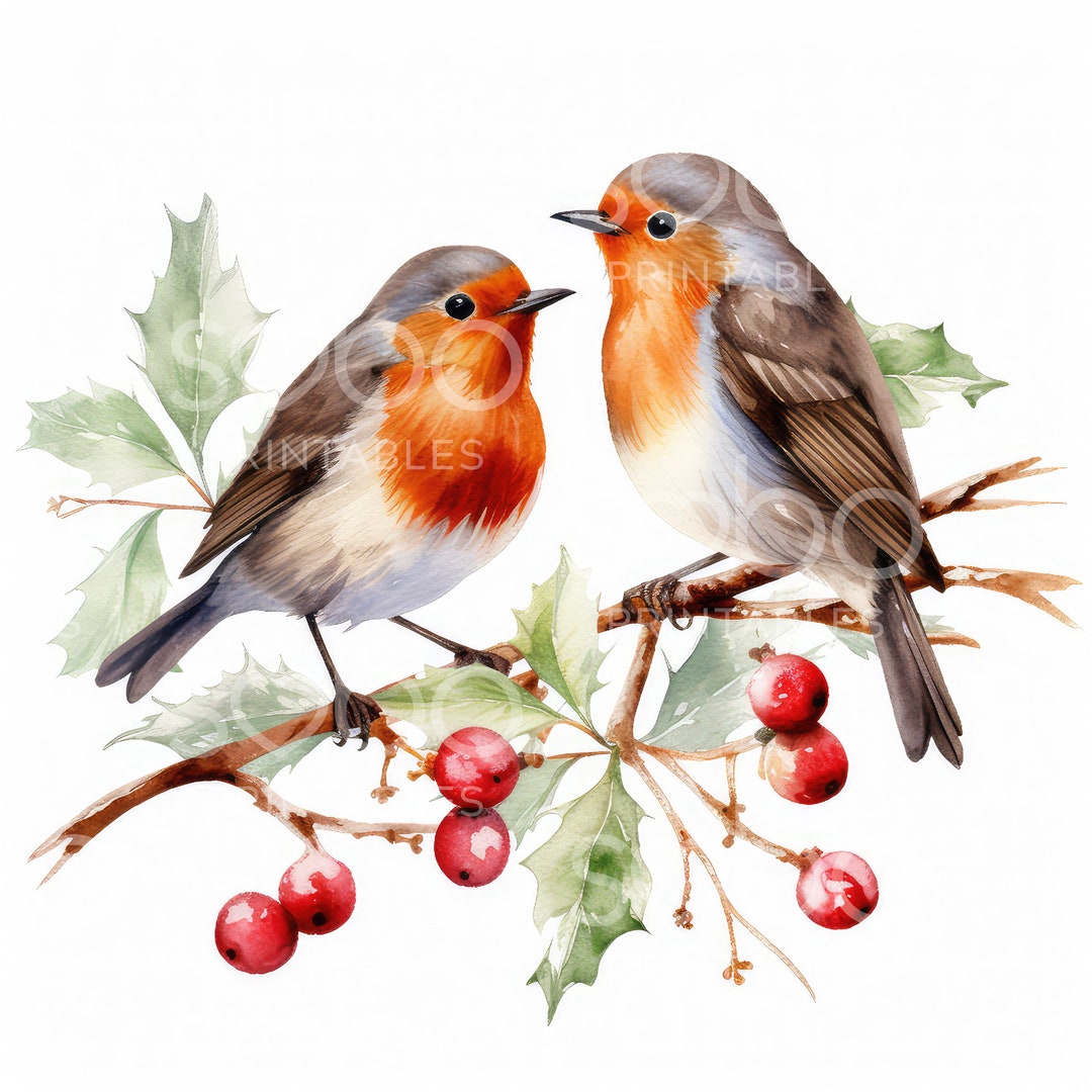 Christmas Robin Clipart 12 High Quality Jpgs Digital - Etsy