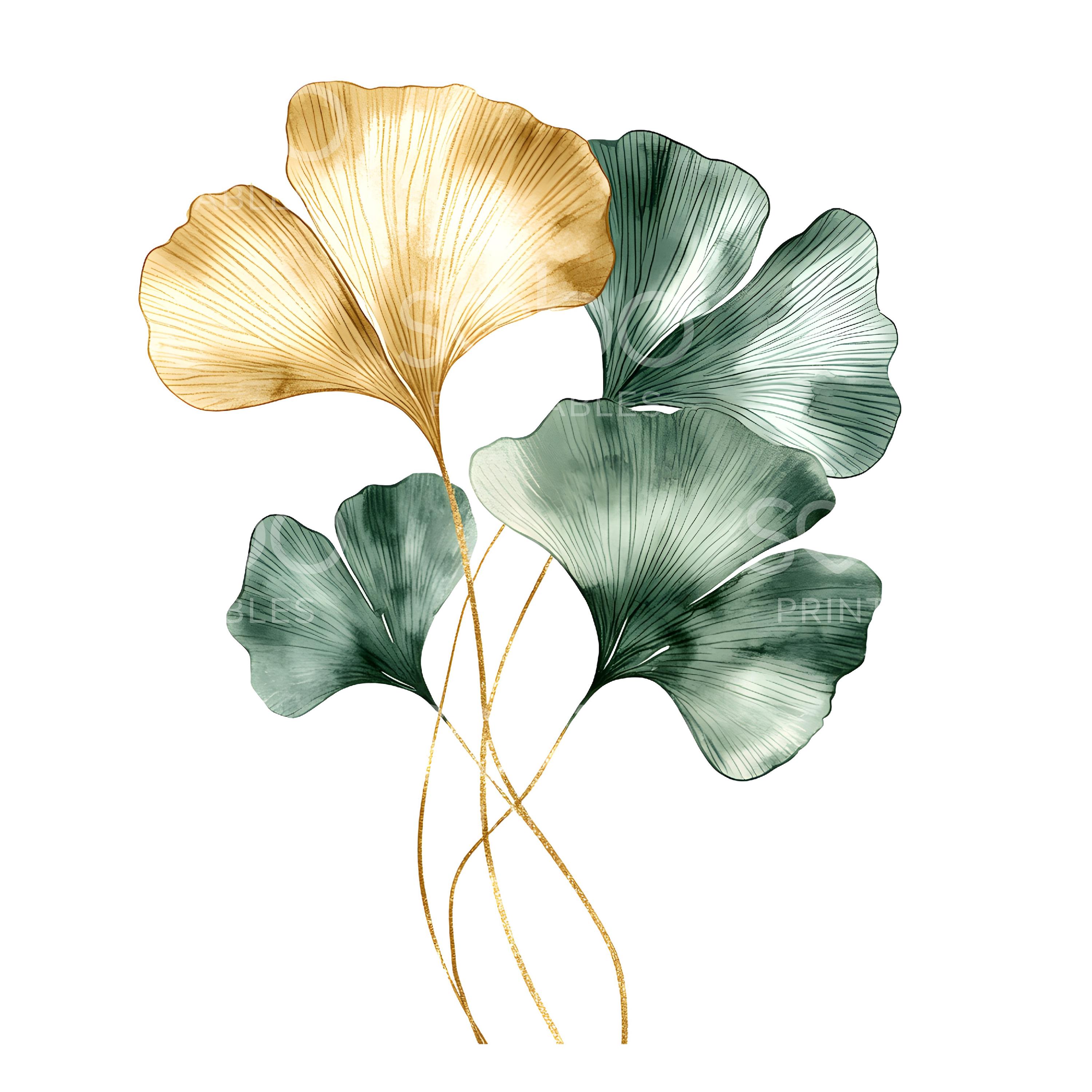 24 Gingko Leaf Clipart, Japanese Leaf, Gingko Leaf, Watercolor Clipart ...