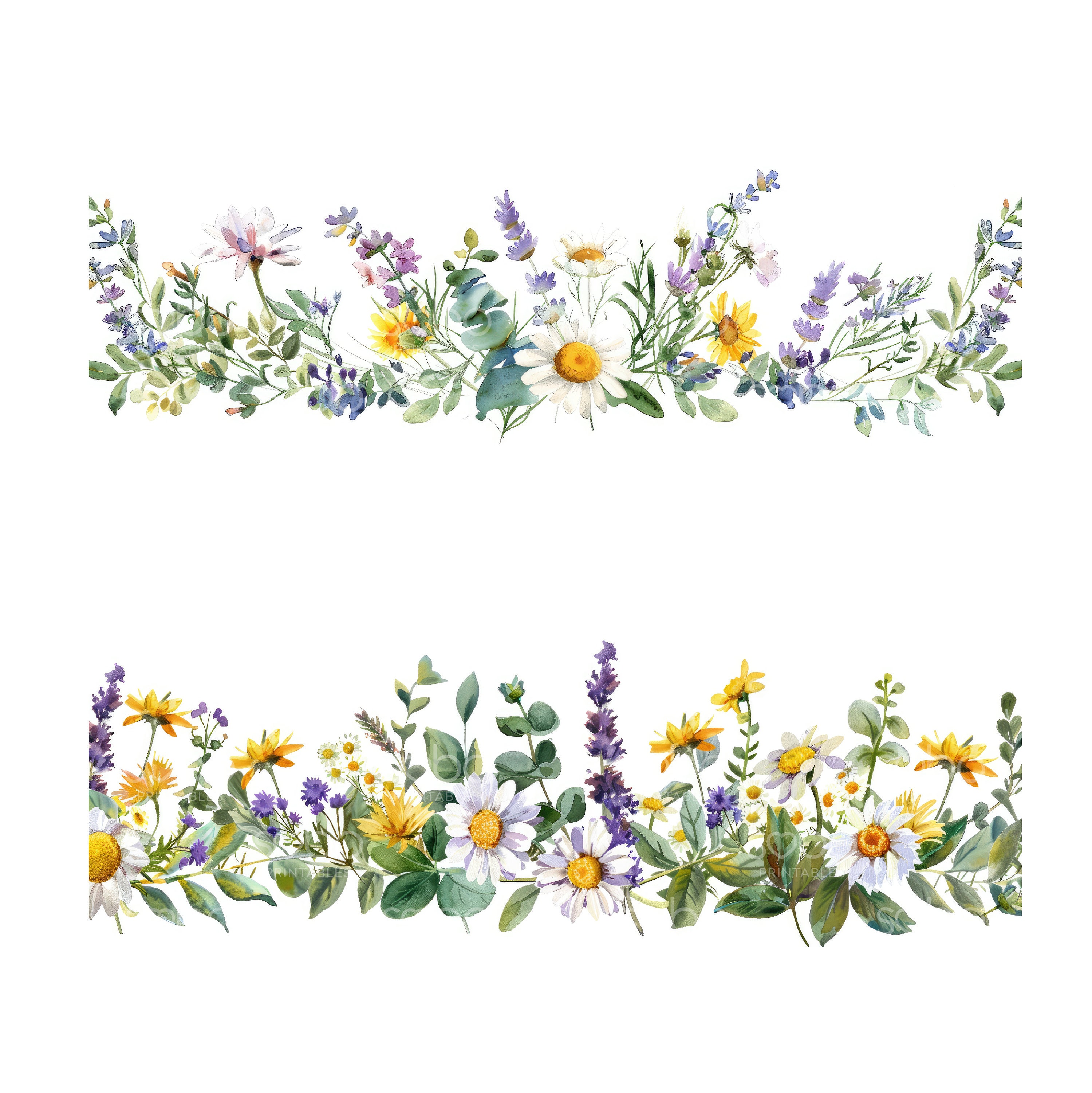 17 Summer Borders Clipart Border, Wildflowers Border Clipart, Digital ...