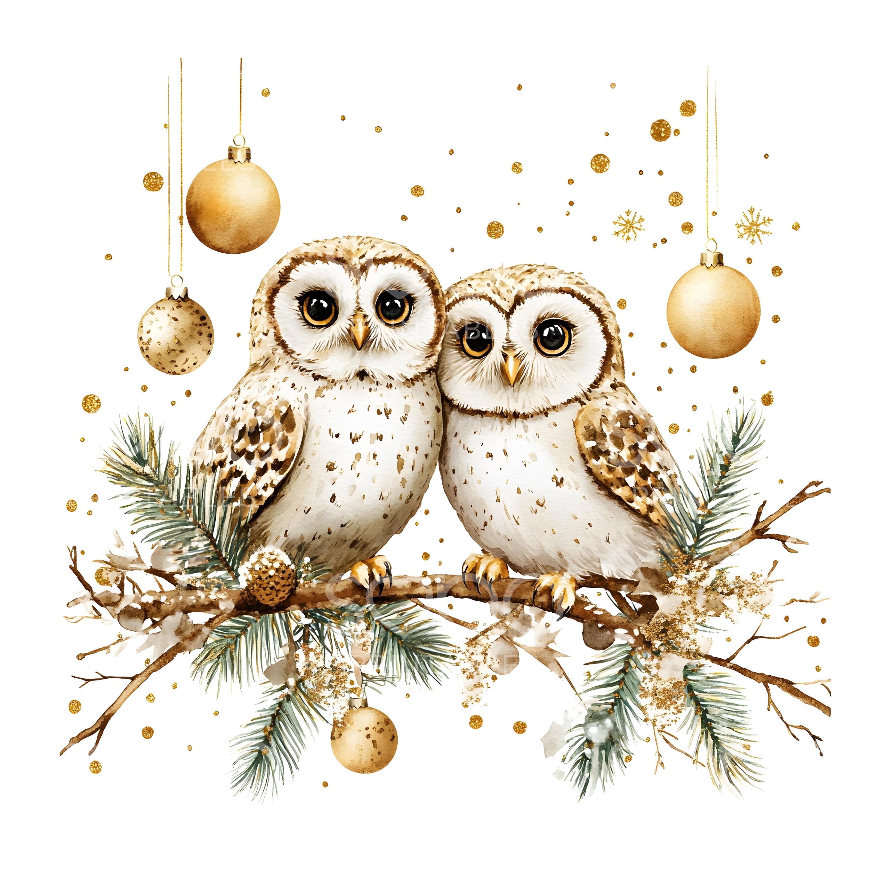 21 Christmas Owls Clipart, Christmas Owls, Christmas Owl Couple ...