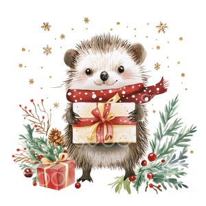 22 Christmas Hedgehog Clipart, Cute Hedgehog, Watercolour Christmas ...
