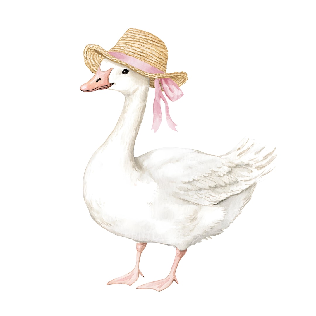18 Silly Goose Hat Clipart, 1st Birthday Bow, Spring Vintage ...