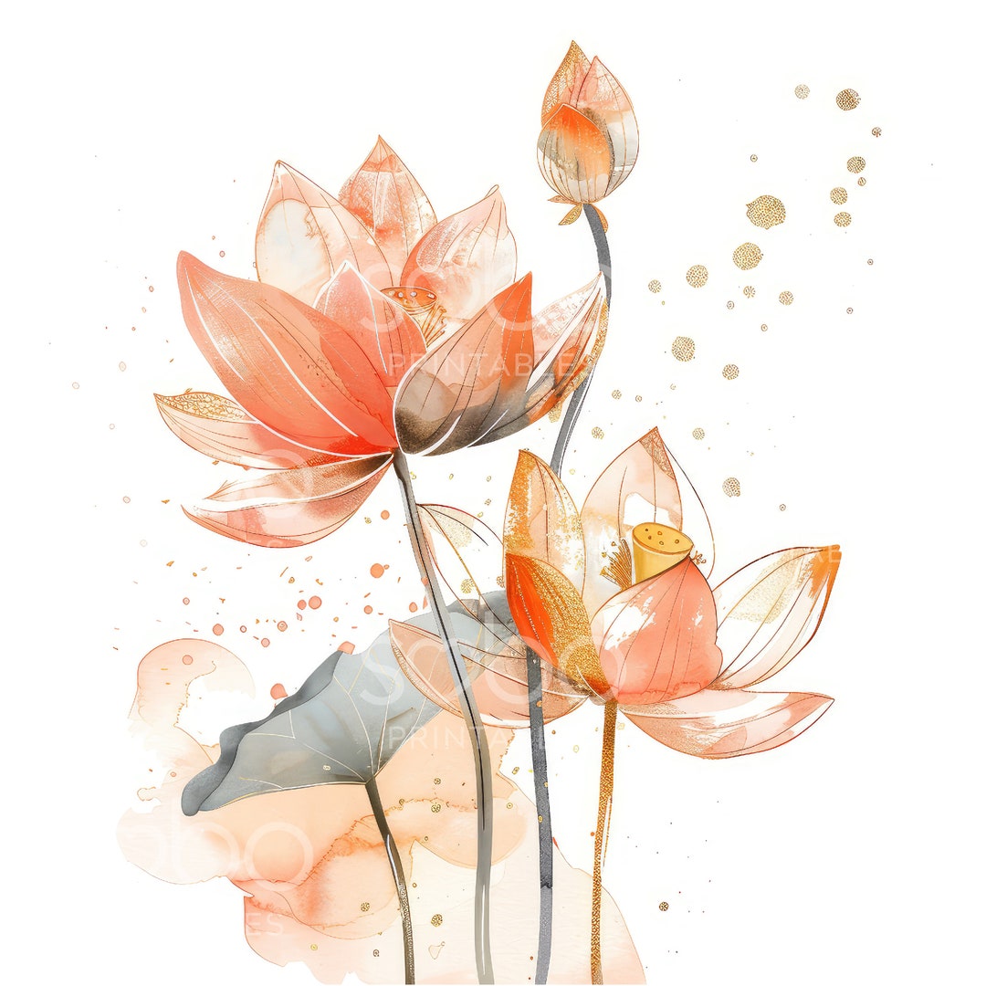 Pink Orange Lotus Clipart - 16 High Quality Jpgs, Pink Gold Flower ...