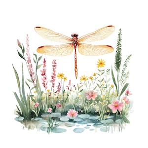 22 Dragonfly Pond Clipart, Floral Dragonfly, Printable Watercolor Art ...