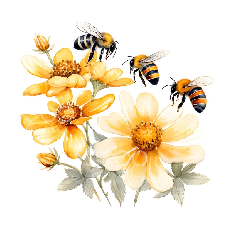 16 Bees in Flowers Clipart, Bees Clipart, Printable Watercolor Clipart ...