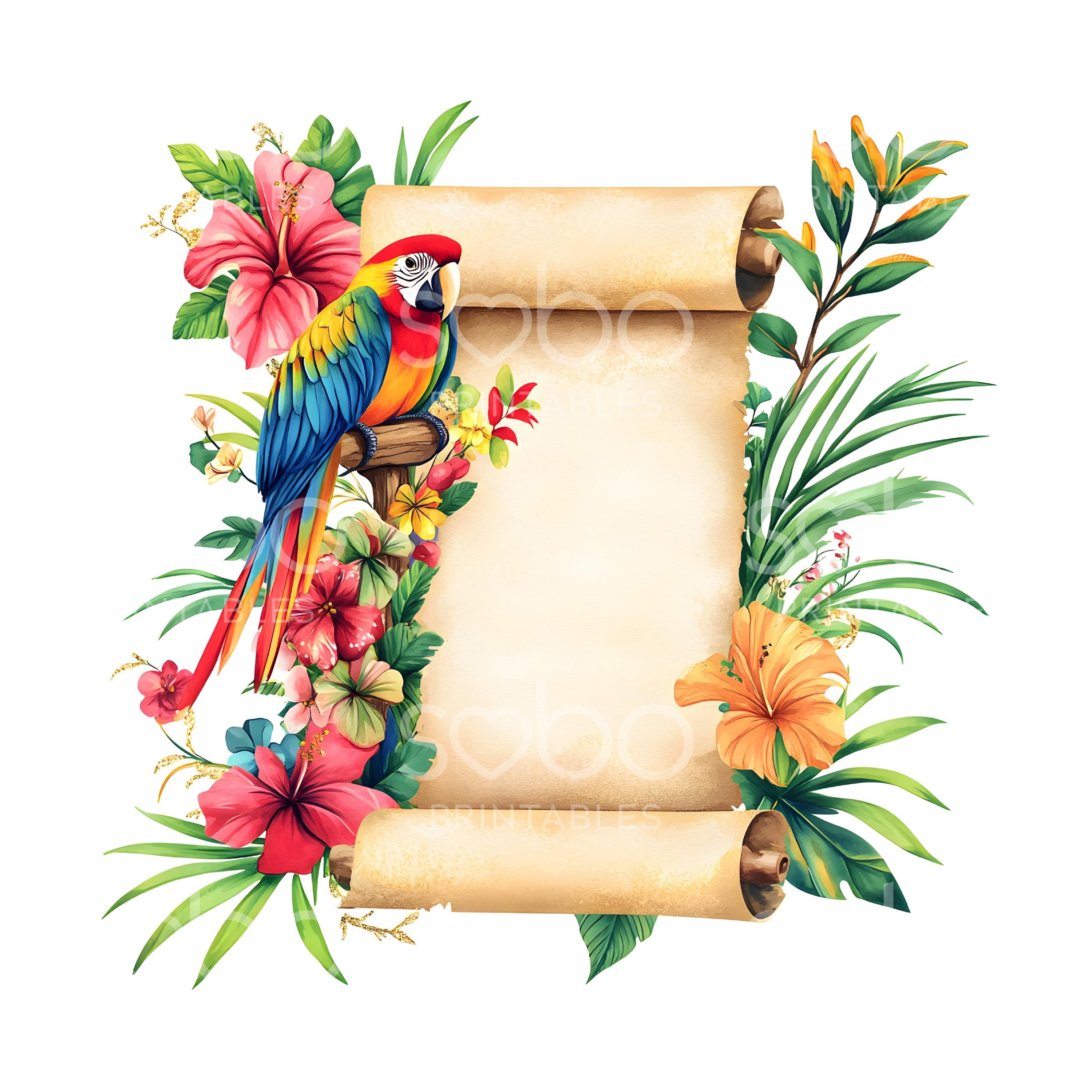 22 Tropical Scroll Clipart, Medieval Scroll, Pirate Parrot Vintage ...
